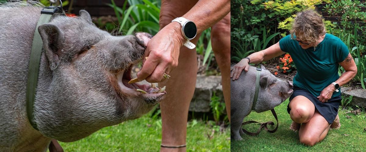 Teachers’ Pets: Paula Niedenthal ’81 and Rudi | Wisconsin Alumni ...